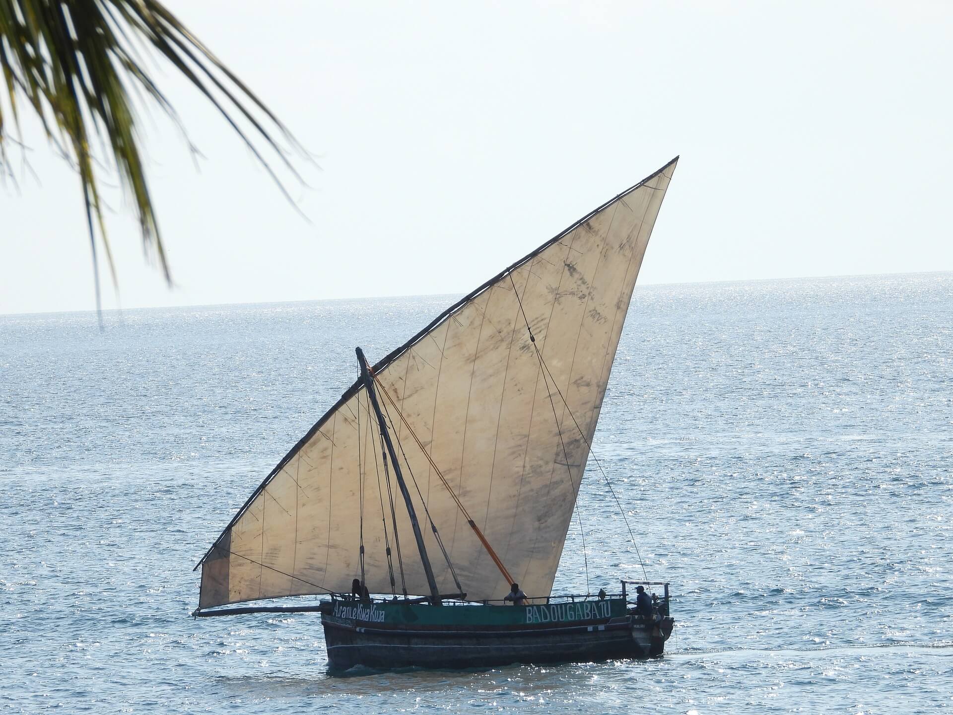 Адреналин сред дивата природа на Занзибар - Travelisimo